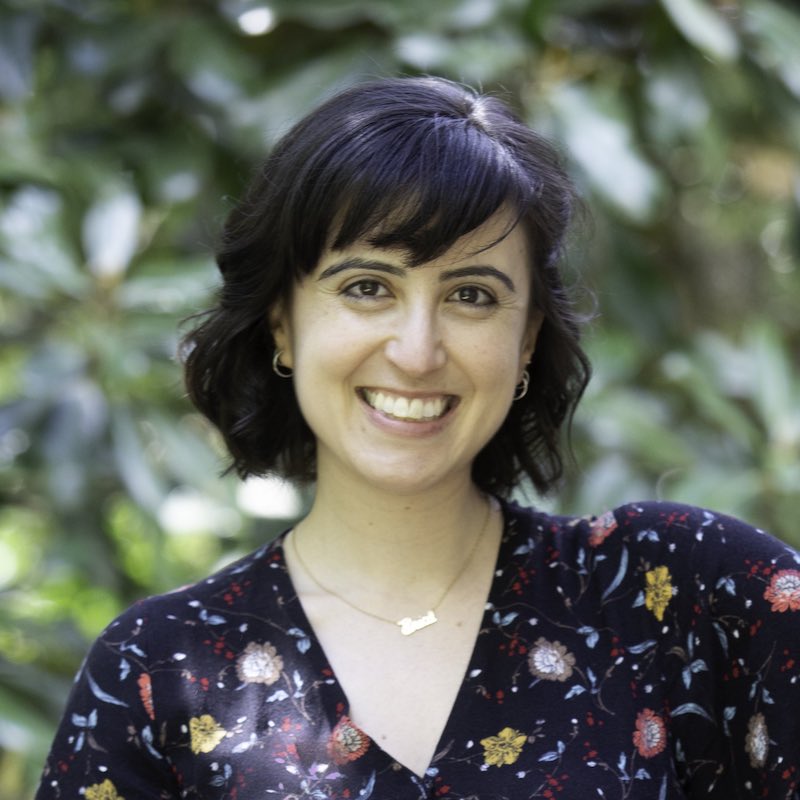 Erica Finkel | Vermont College of Fine Arts