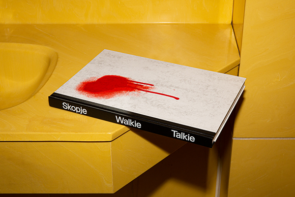 Sereina Rothenberger | Vermont College of Fine Arts