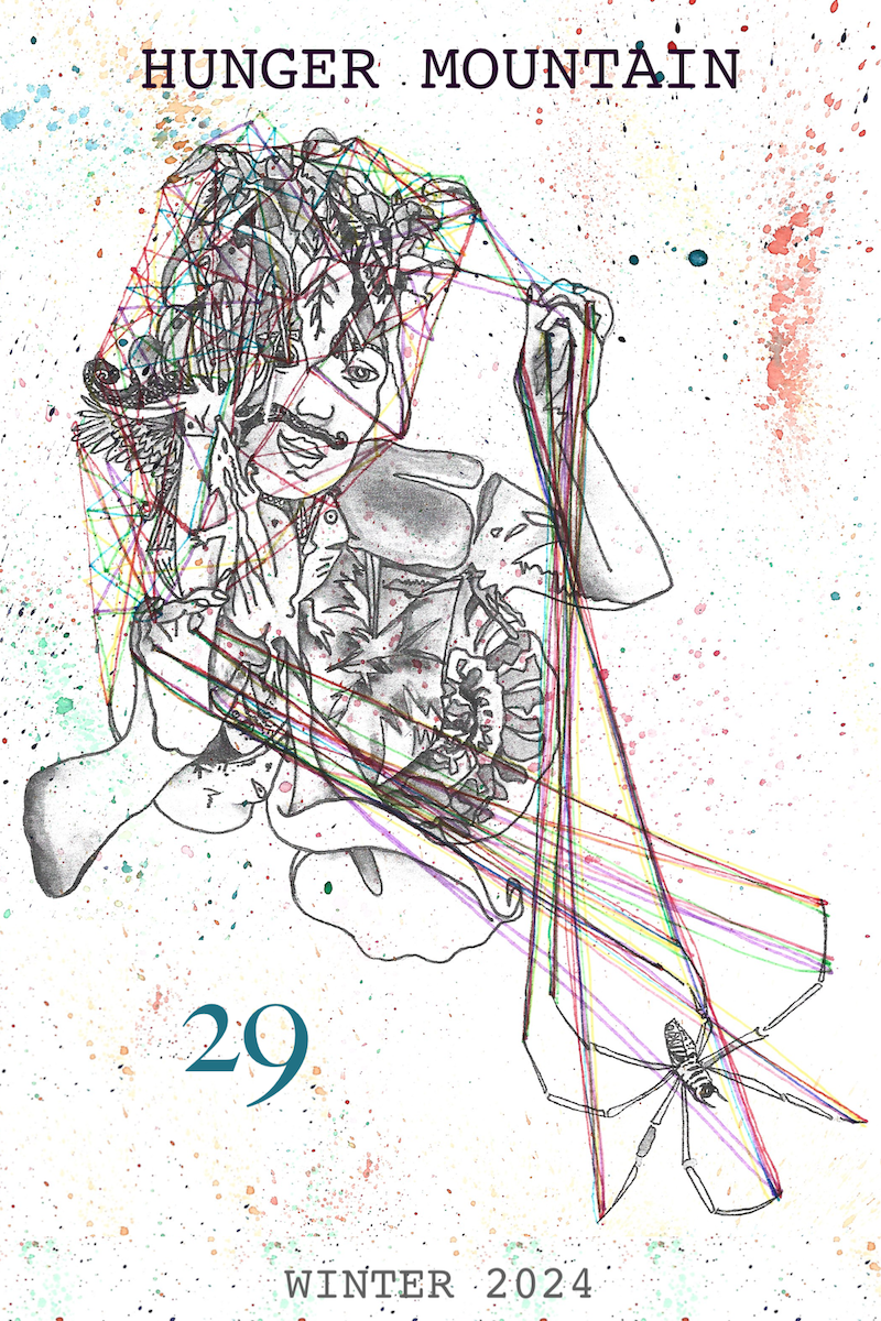Issue 29 of Hunger Mountain is Out Now! | Vermont College of Fine Arts