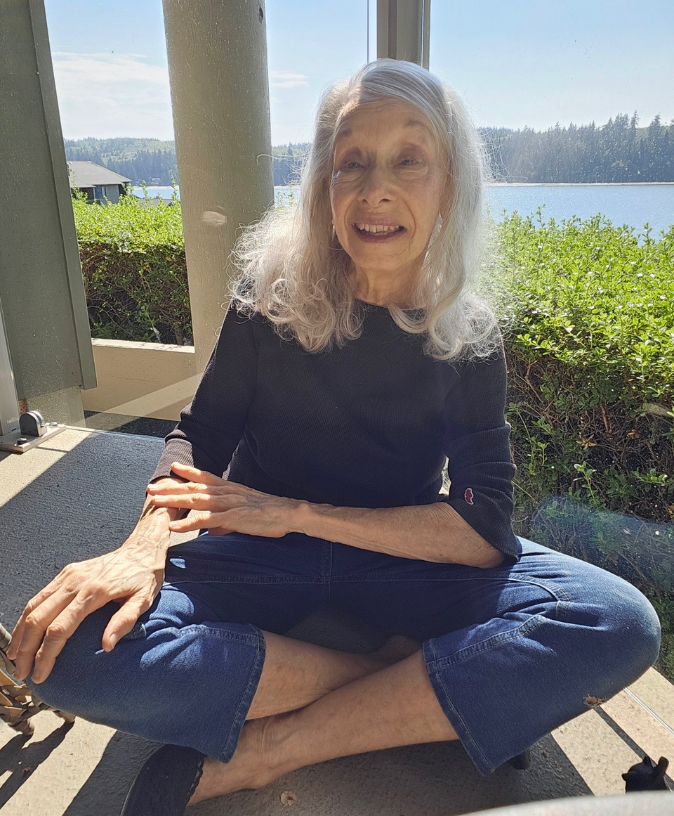 FACULTY STORY: Louise Hawes | Vermont College of Fine Arts